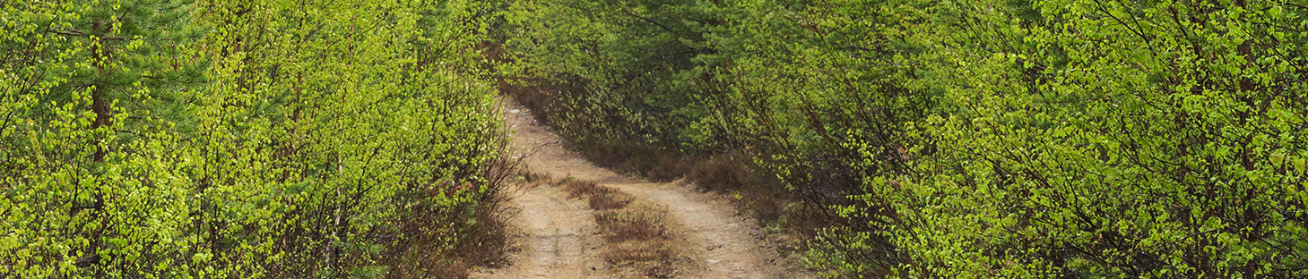 The Adventure Way - Living Magazine